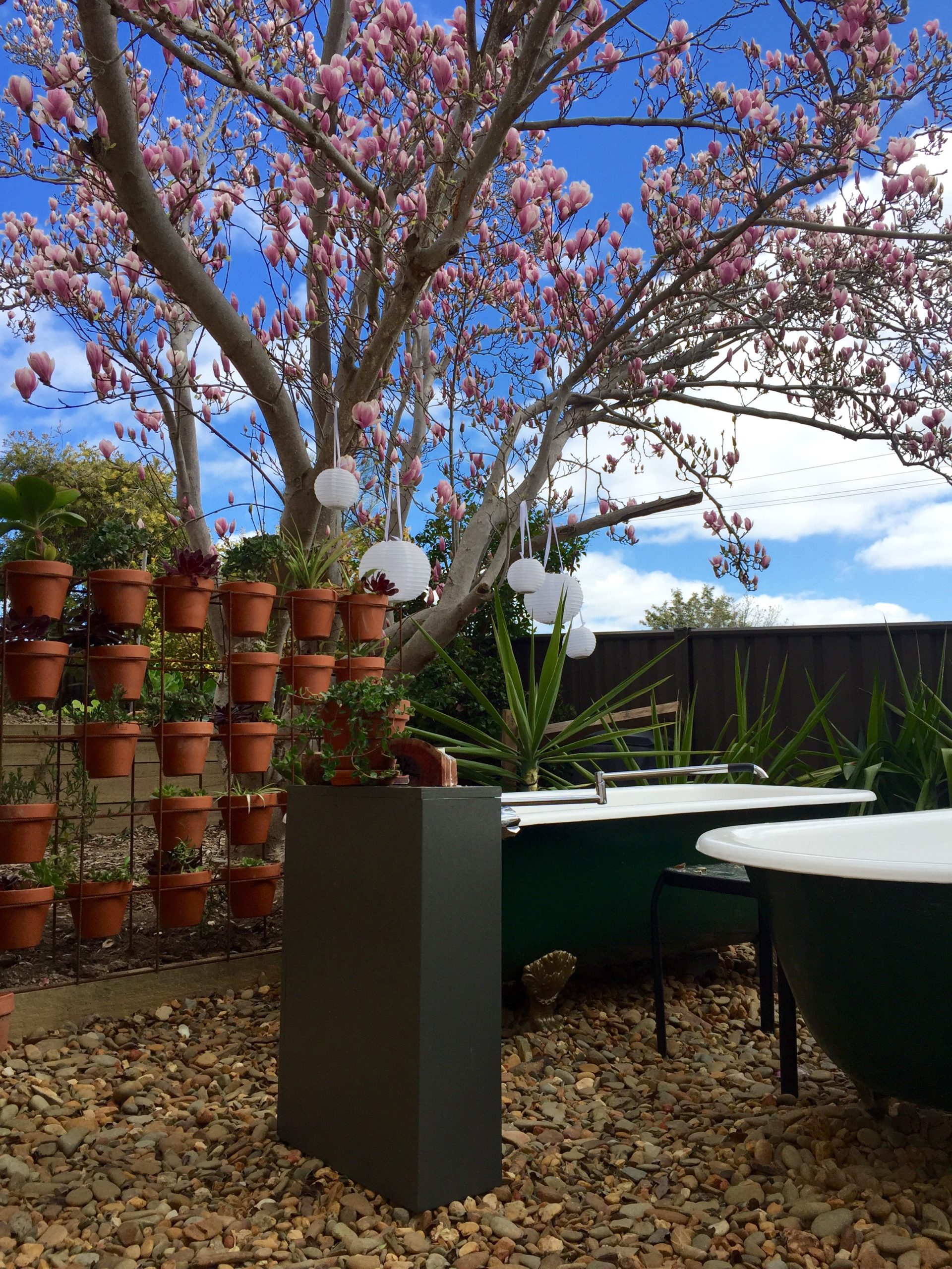 Rub-a-Dub-Dub - The Shed